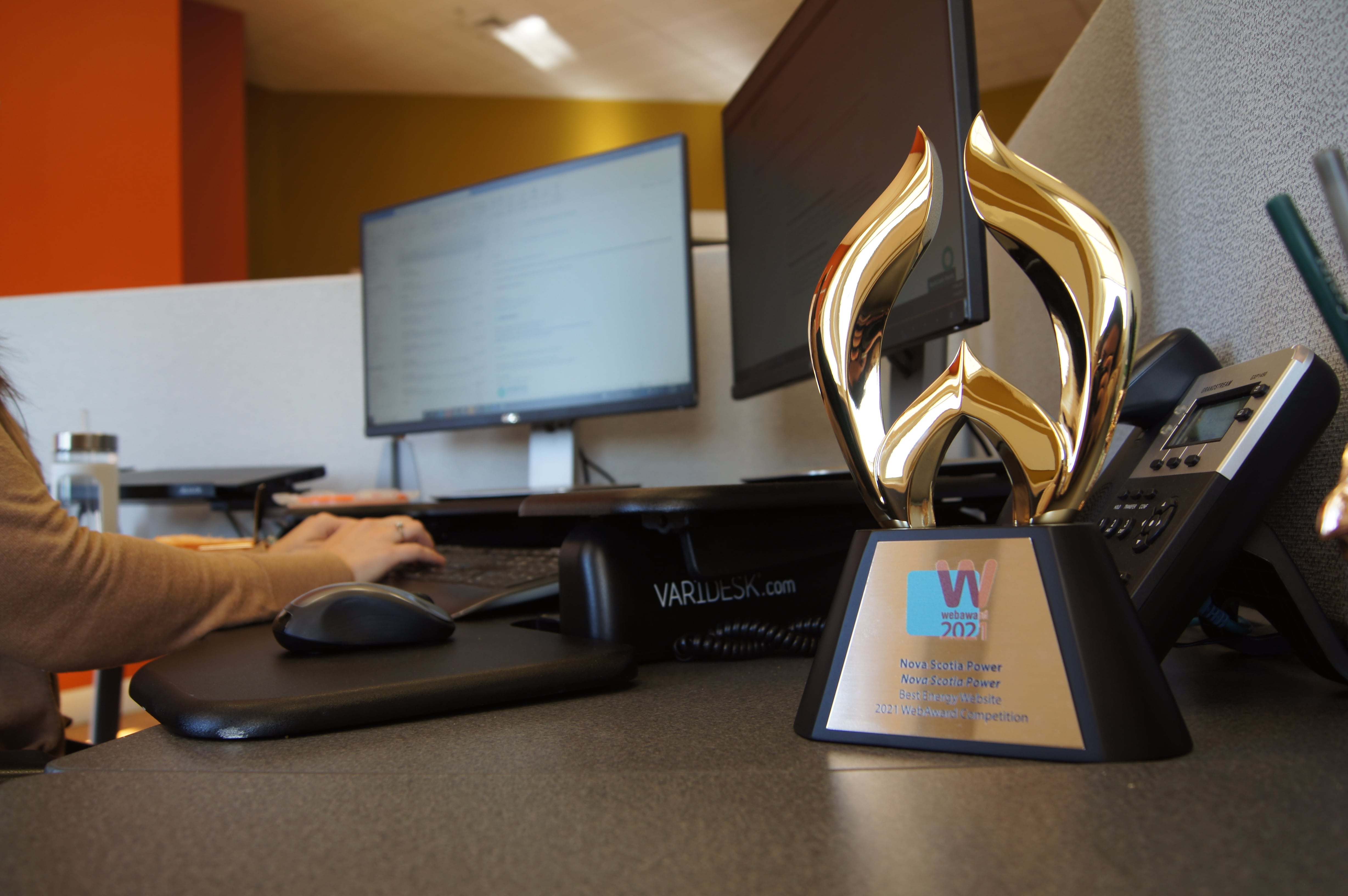 Website Support | SilverTech